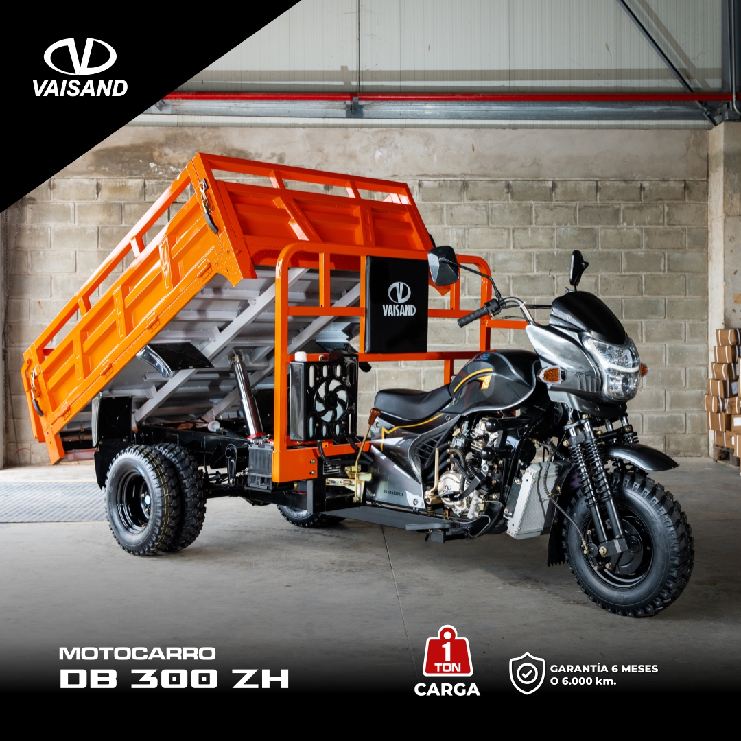 DB 300ZH | VAISAND MOTORS